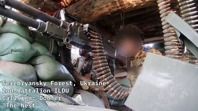 Doomer's Machine Gun Nest In Serebryansky Forest