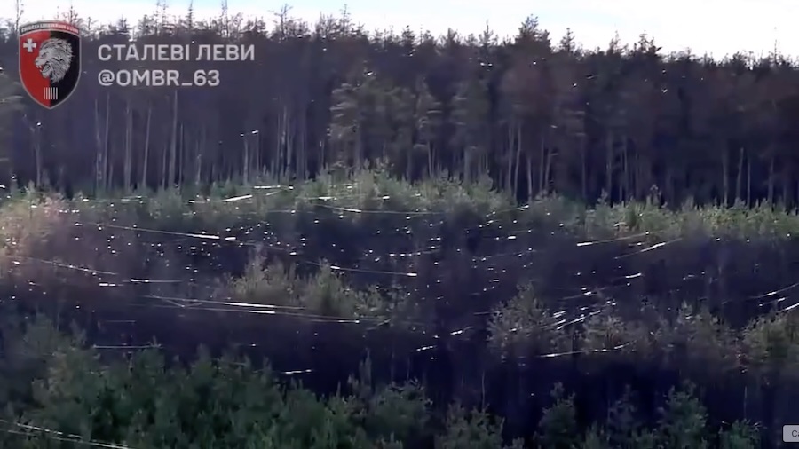 Insane Amount Of Fiber Optic Cable Covers Ukrainian Forest
