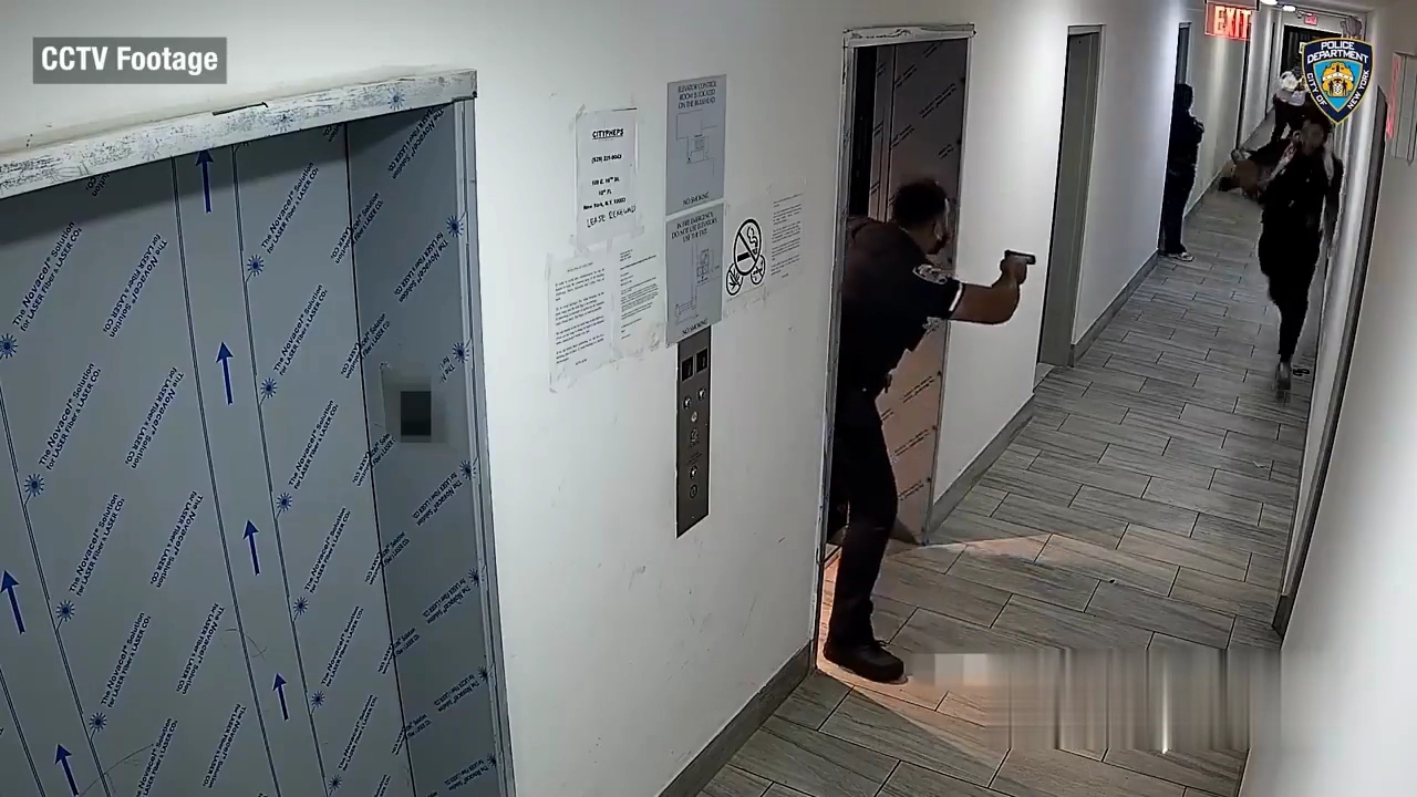 Nsfw Nypd Arrest Warrant Turns Into Goat Rope 3899