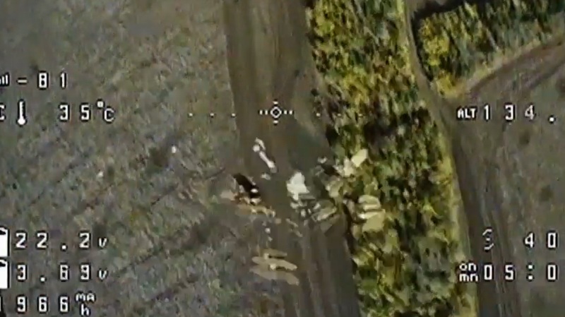 Randomized Minefield Created by Drone